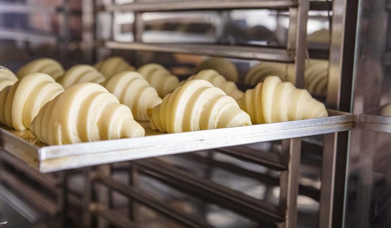 Alat Fermentasi Roti : Fungsi, Manfaat, dan Peran Kualitasnya - ChilLinks